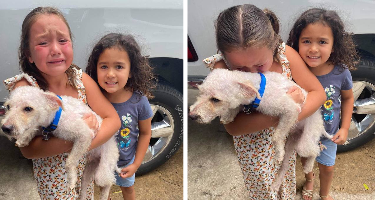 Little Girl Can’t Stop Crying Tears Of Joy When Her Lost Dog Is Finally ...